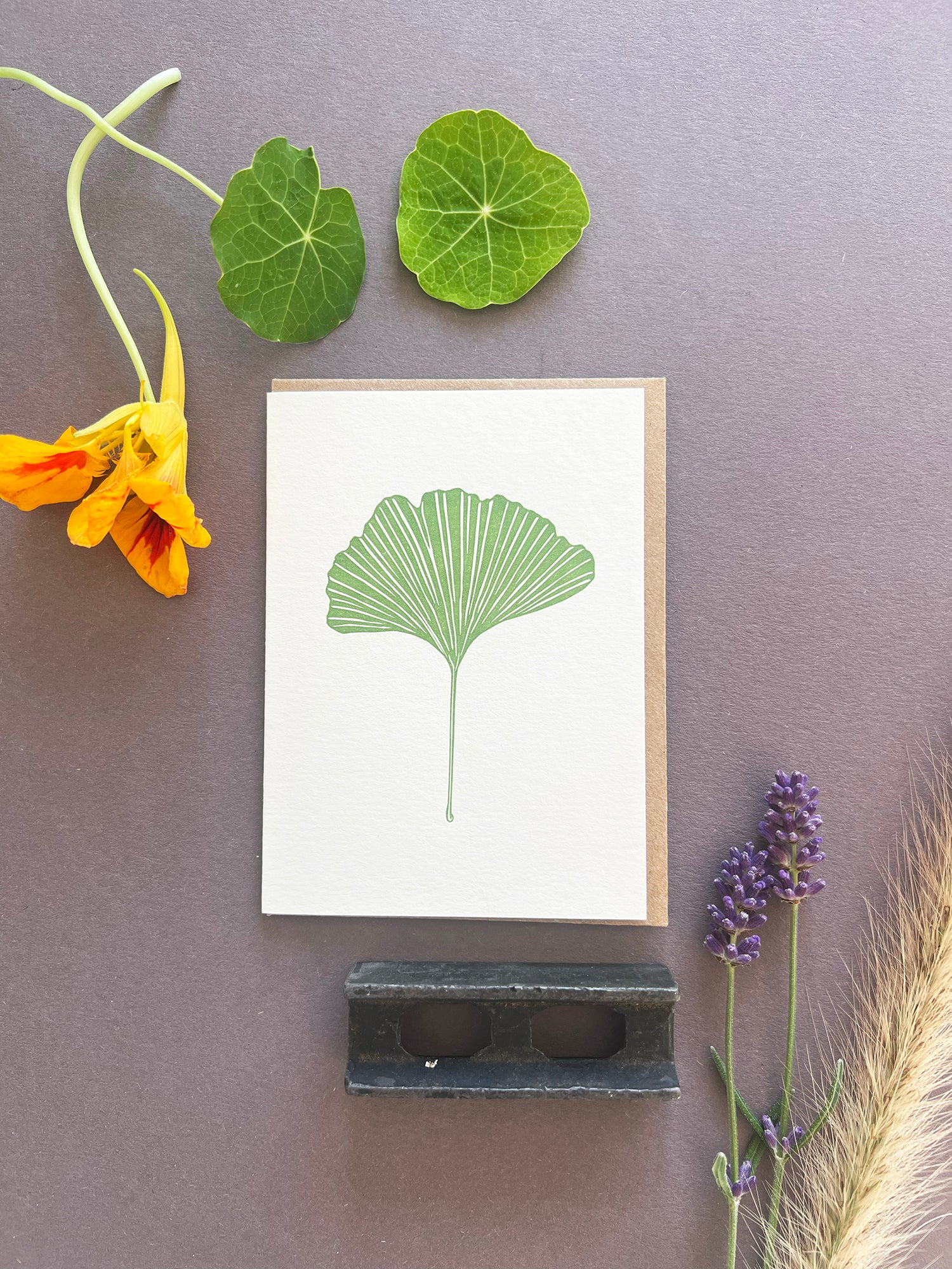 Ginkgo Card – Penguin Ink Ltd