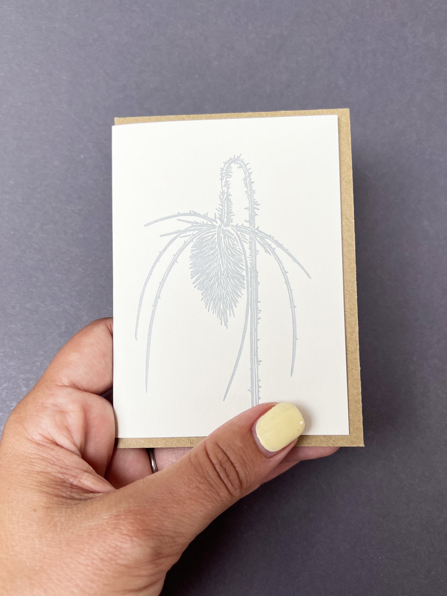 Teasel Card – Penguin Ink Ltd