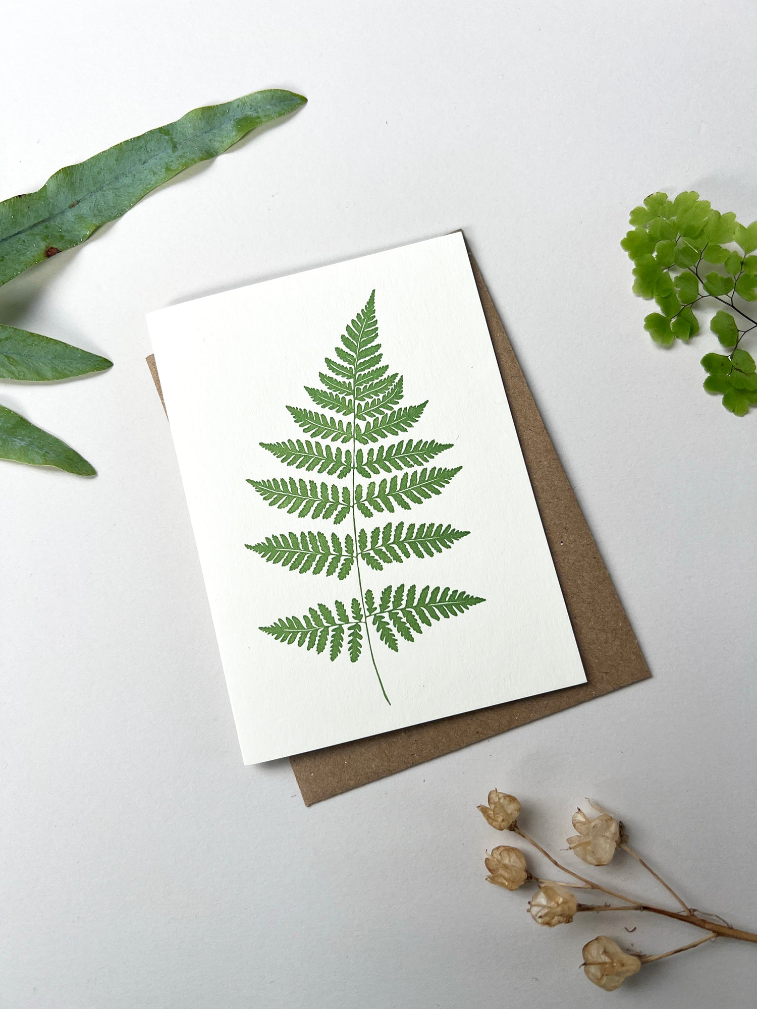 Royal Fern Card – Penguin Ink Ltd