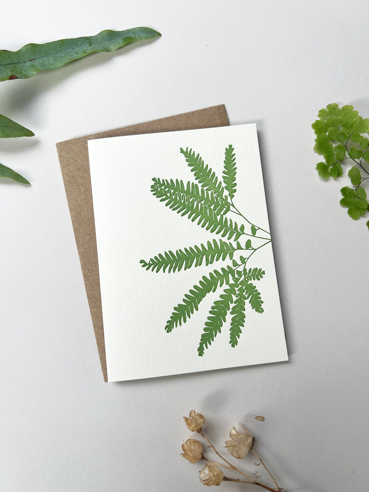 Maidenhair Fern Card – Penguin Ink Ltd
